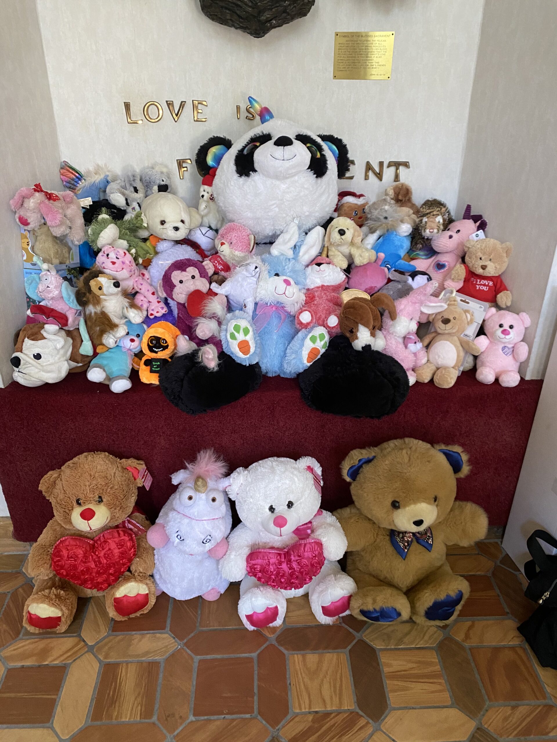 Teddy Bear Sunday - Blessed Sacrament Catholic Church
